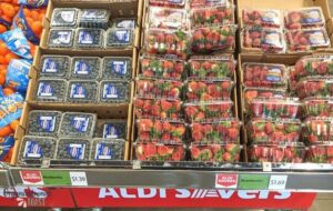 Best Things to Buy at Aldi - Organizational Toast